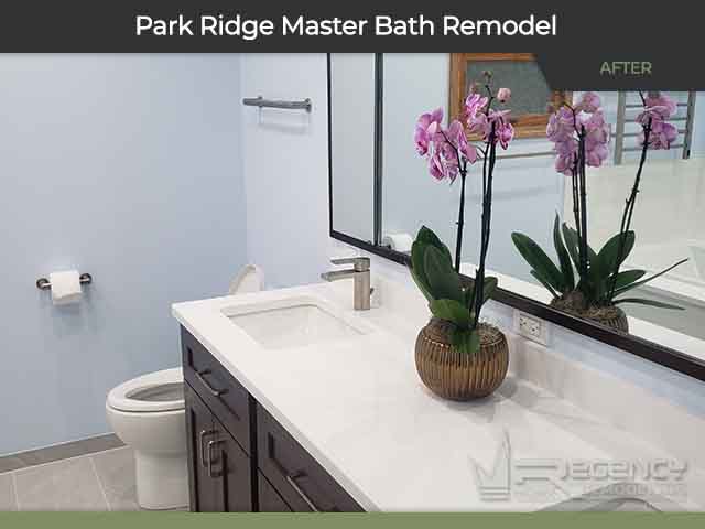 Park Ridge Master Bath Remodel - Regency Home Remodeling